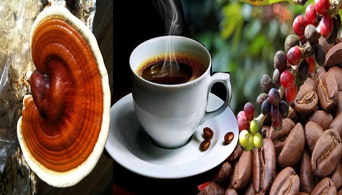 Los 6 Grandes Beneficios De Café De Hongos